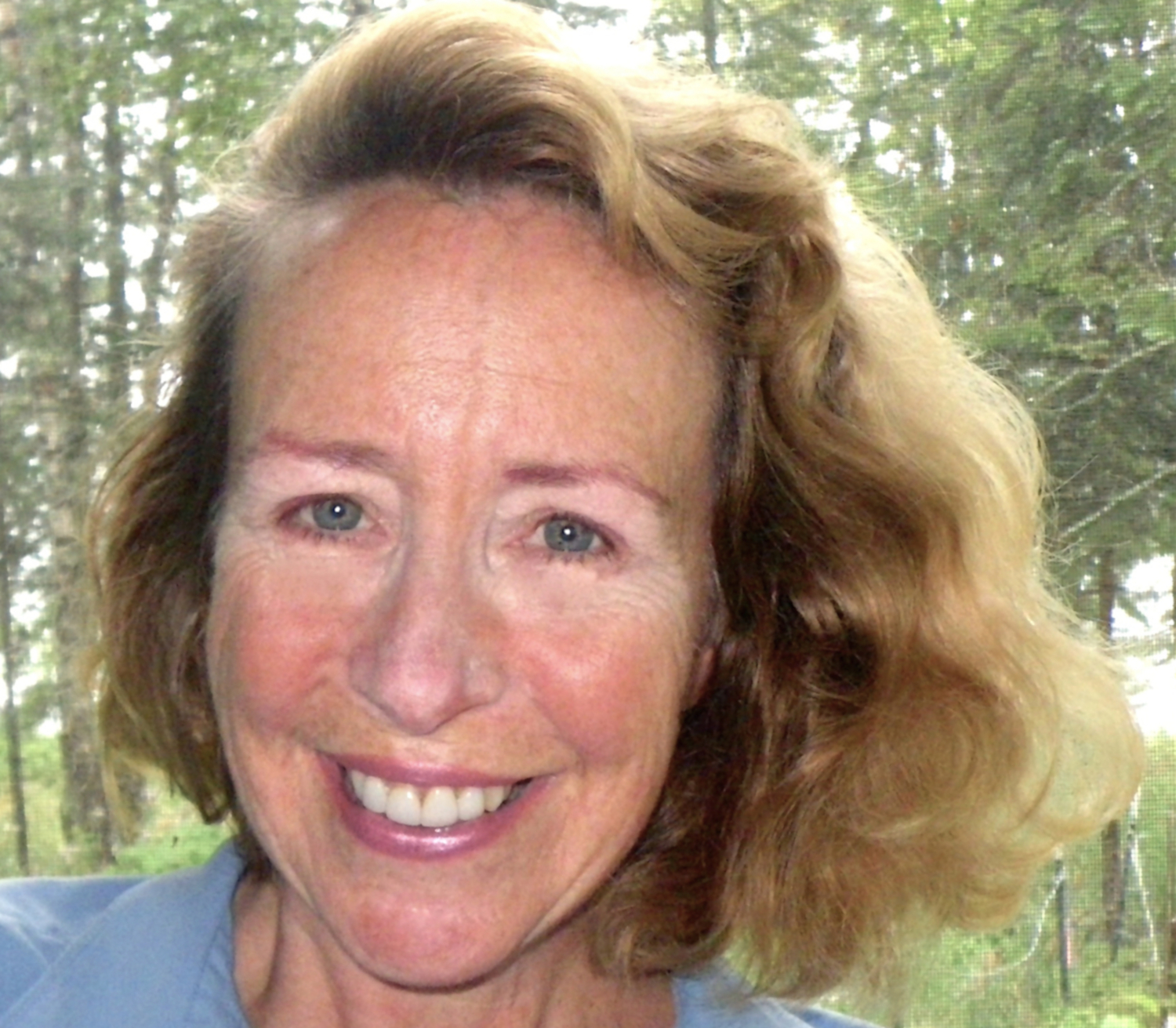 Introducing Lakehead’s new Fulbright Canada Research Chair | Lakehead ...